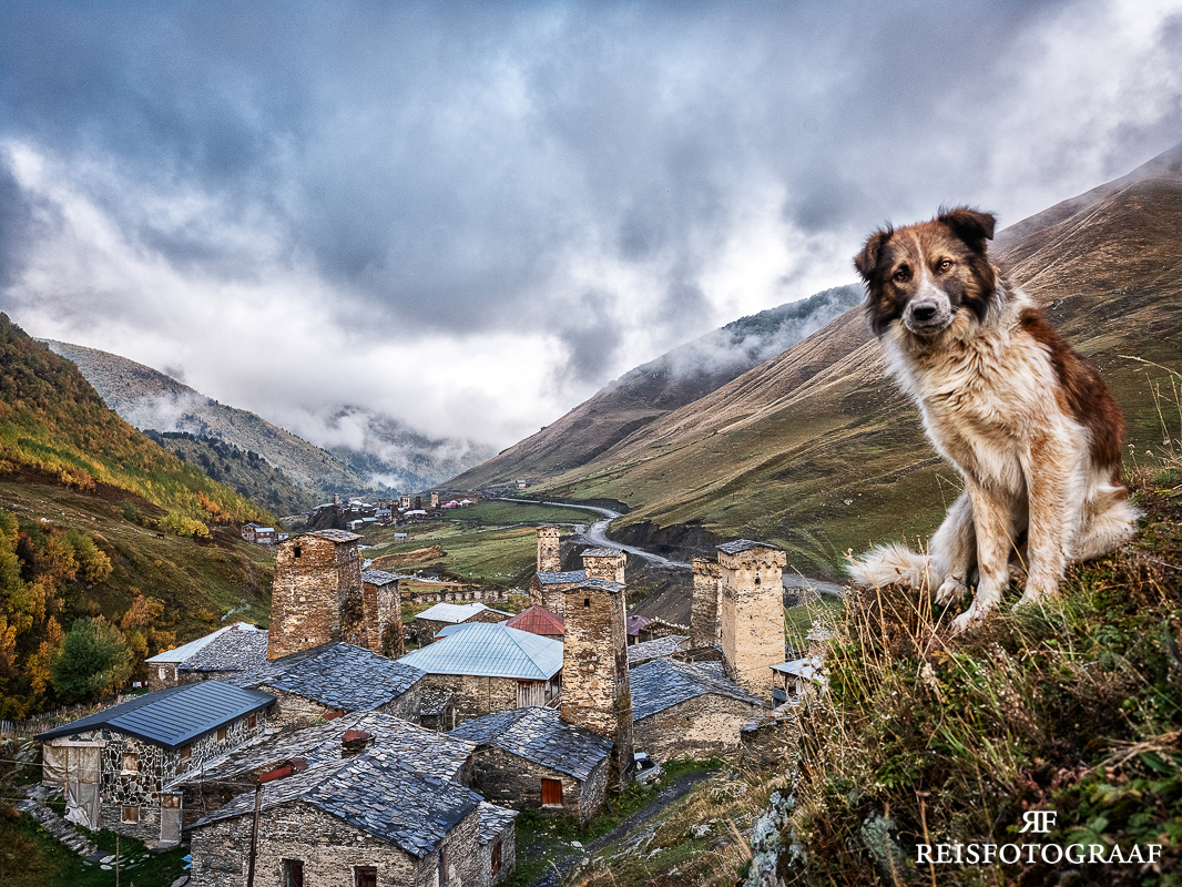 Travel Lounge | Travel Lounge